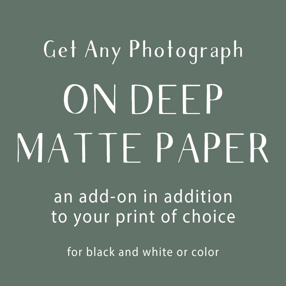 Photograph Add-On, Deep Matte Paper – Lost Kat Photography